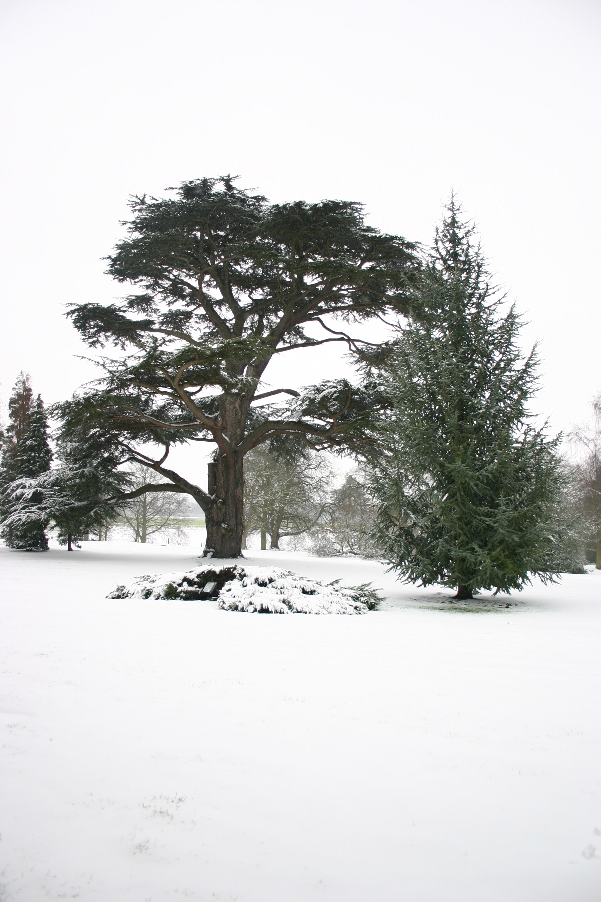 Welcome / Log in - Colworth Park